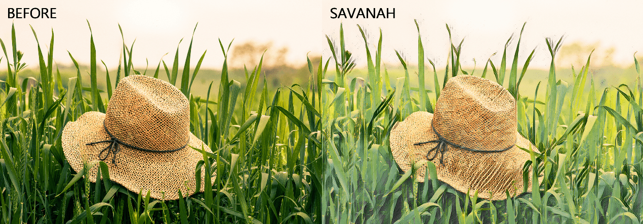 Creating Stunning Images with AI Style Transfer