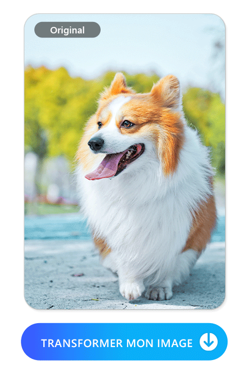 Comment pixeliser une image facilement et gratuitement?