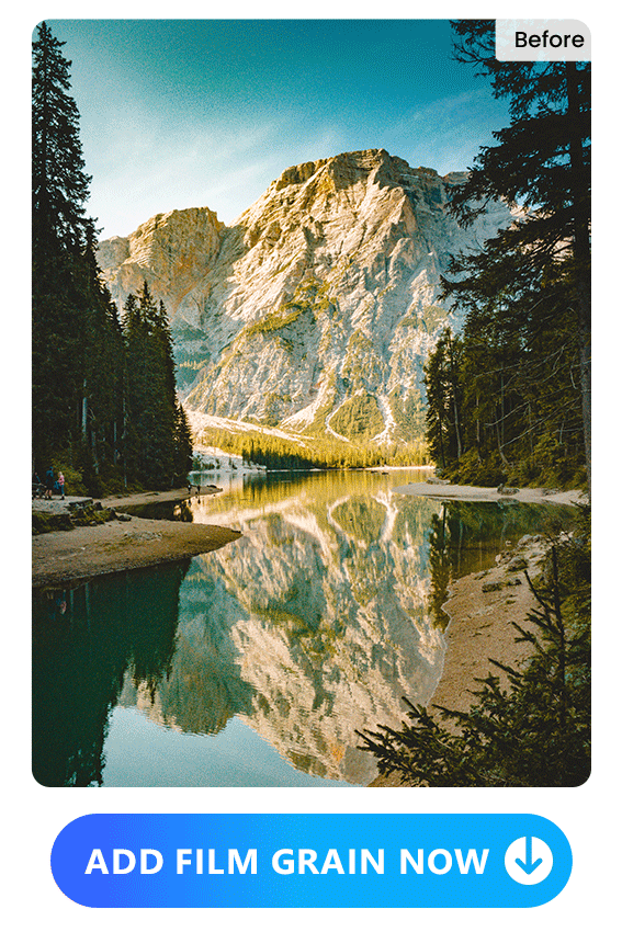 Enhance Your Photo with Film Grain for a Timeless Vintage Appeal!