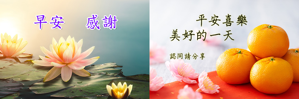 超強長輩圖產生器推薦，長輩圖早安圖免費下載，還能任選背景和字體貼圖