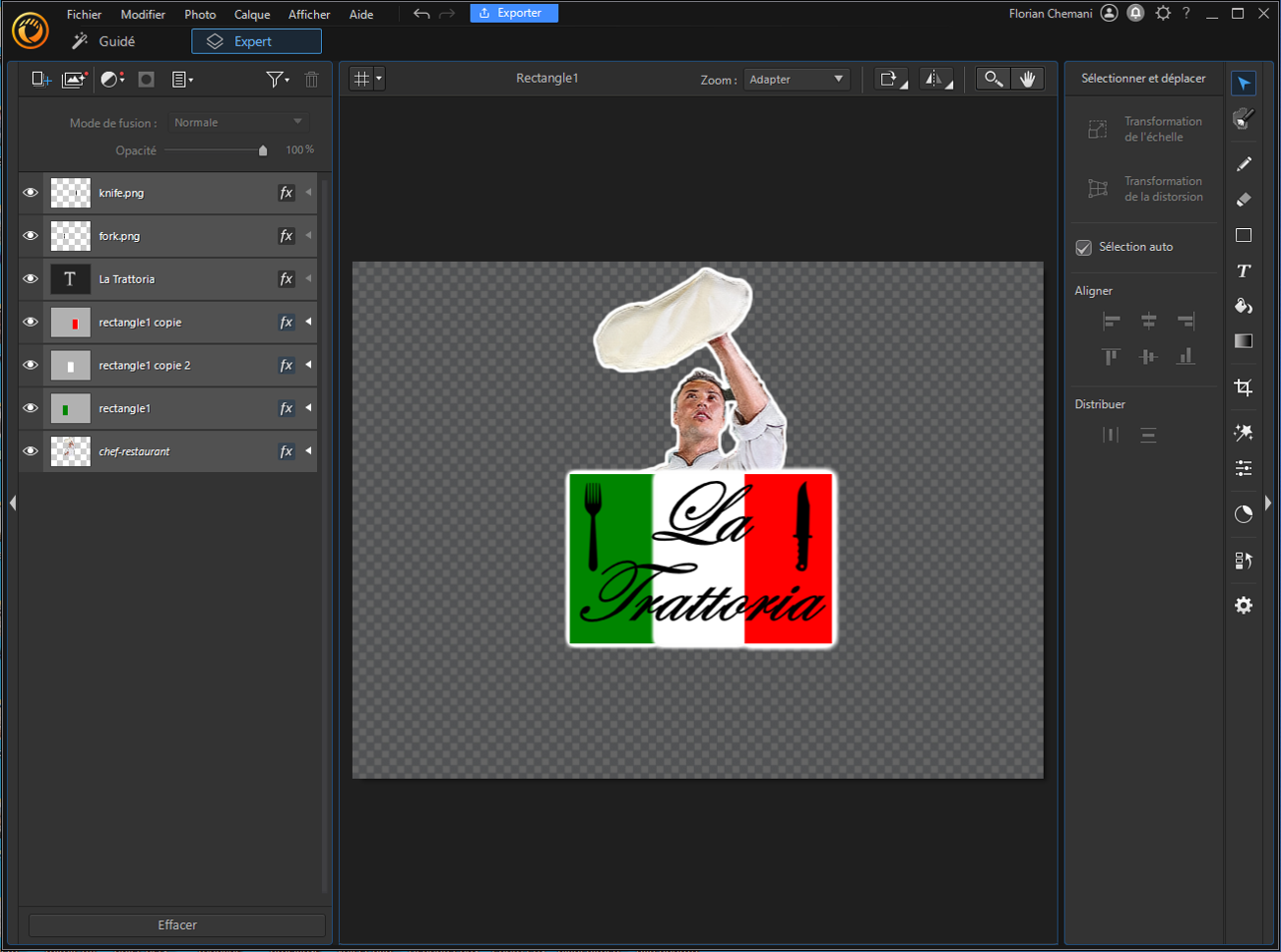 Les 12 meilleurs logiciels gratuits pour créer un logo [2024]