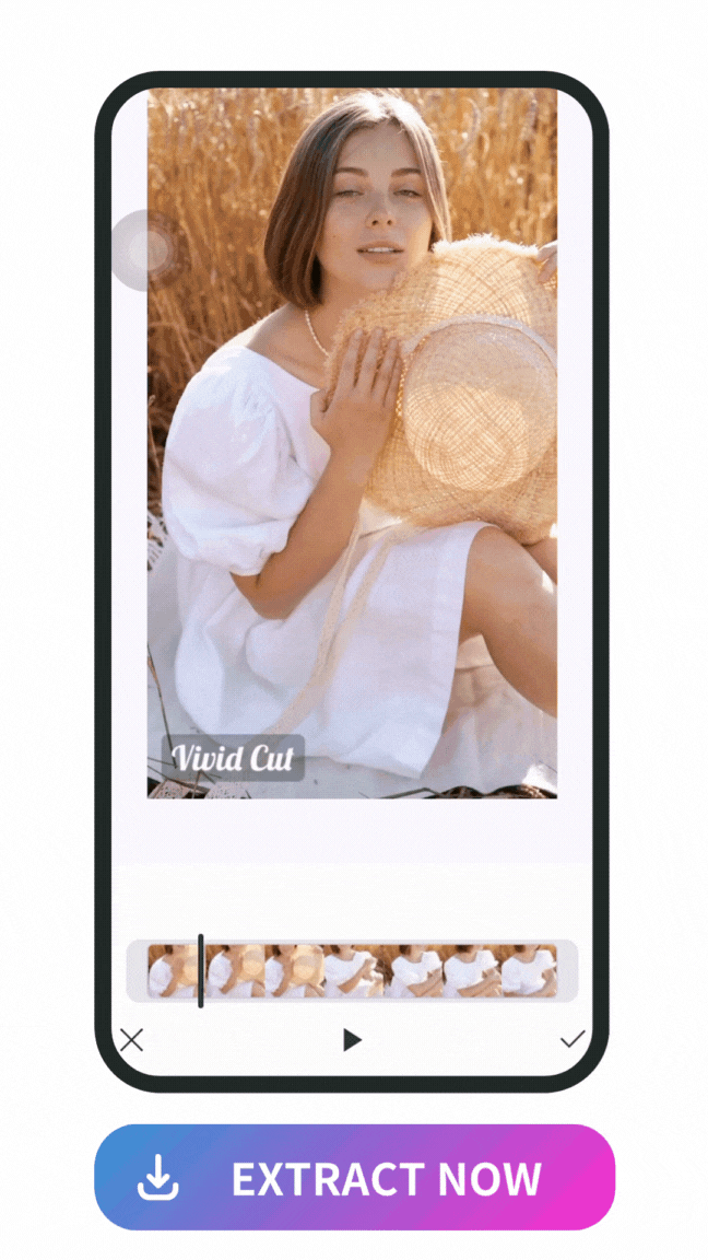 Extract Frames from a Video in High Quality Easily & Fast