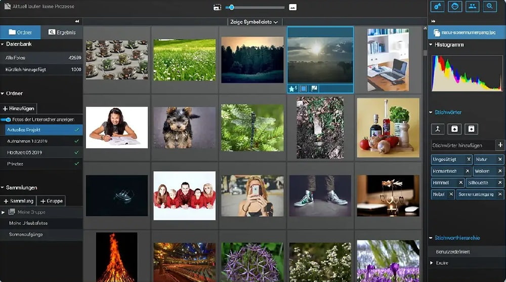 13 Best Photo Organizing & Management Software in 2025